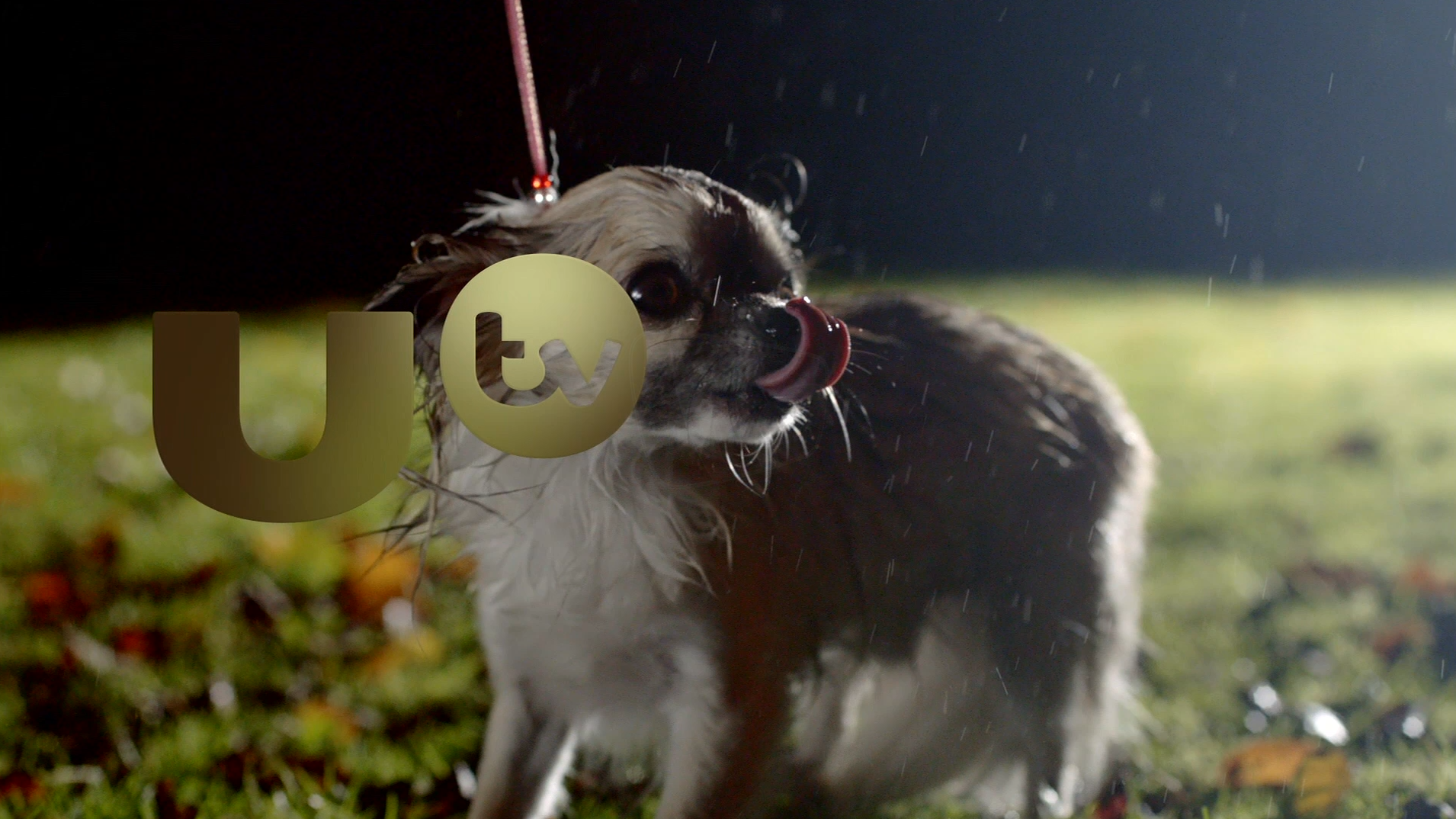 Breakfast shows now getting promo airtime on UTV - Clean Feed