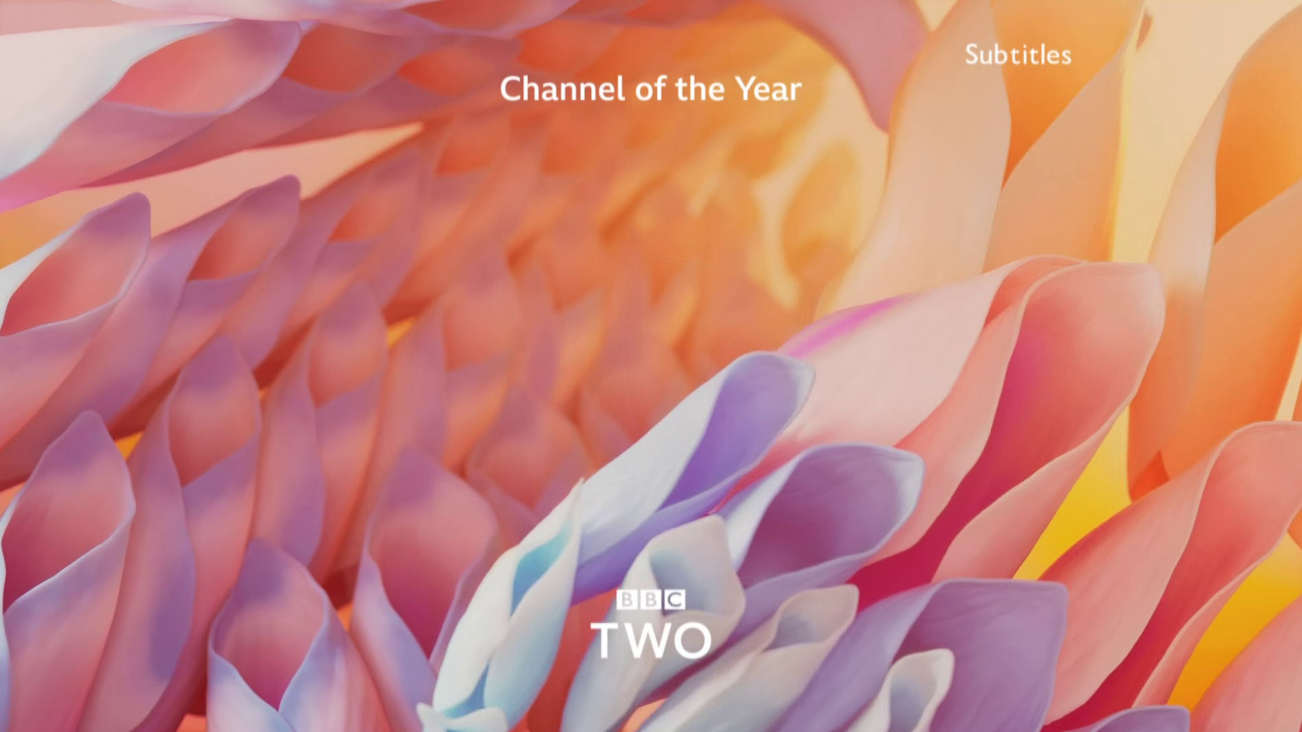 New BBC Two ident airs before Blue Peter - Clean Feed